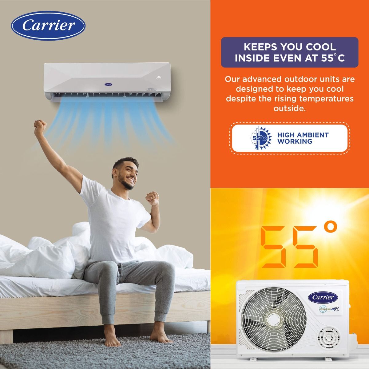 Carrier 2 Ton 3 Star Flexicool Inverter Split AC
