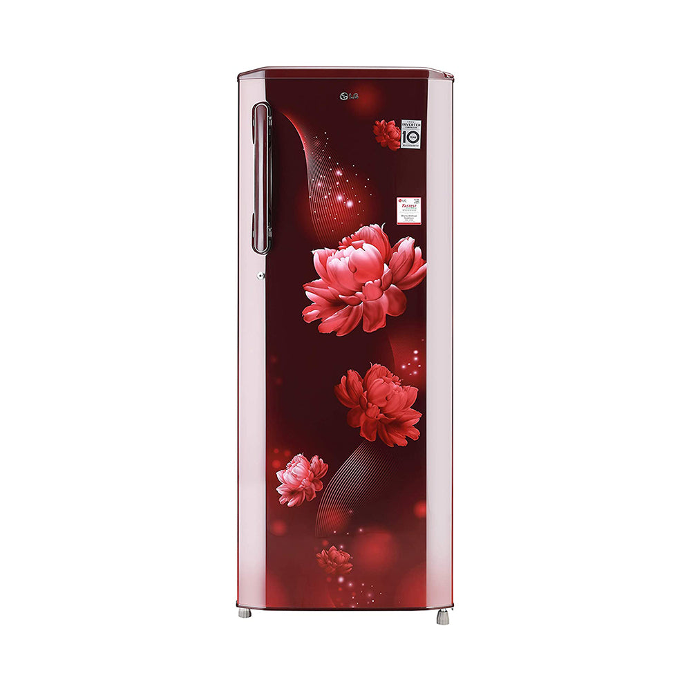 Refrigerator - Shop Fridges Online at Best Price - Darling Retail
